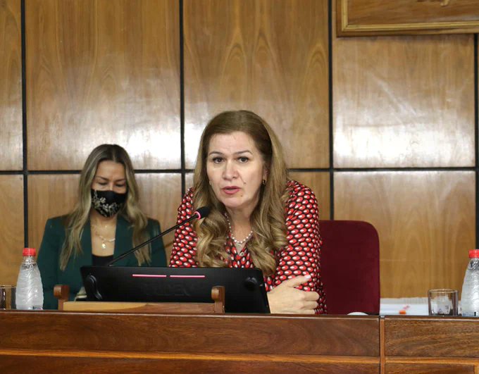 Ministra Barán plantea cambiar el modelo de atención en el ...